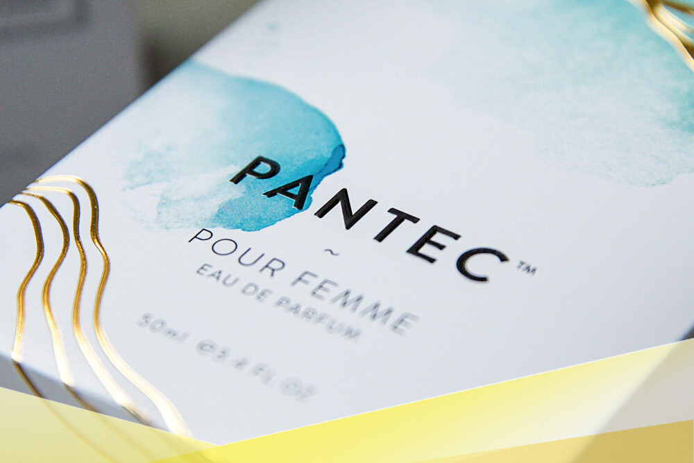 Pantec: BUSINESS UNITS